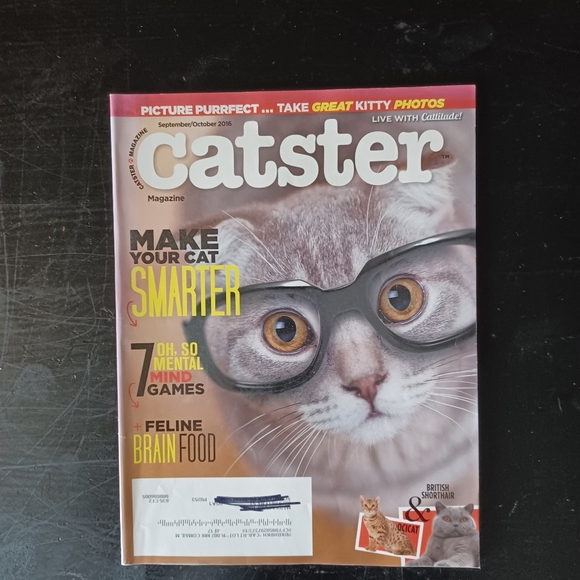 Catster | Accents | Catster September October 26 Magazine | Poshmark